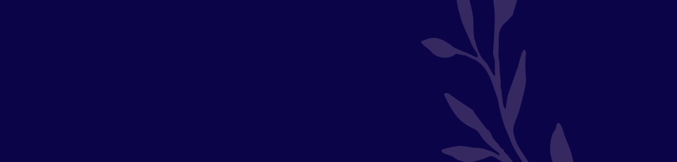 BPD Co (SA Health) - Sanctuary