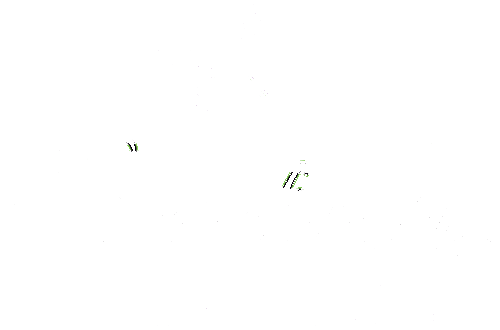 BPD Co (SA Health) - Sanctuary